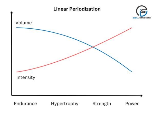 Beginner’s Guide to Linear Periodization – IDEAL STRENGTH